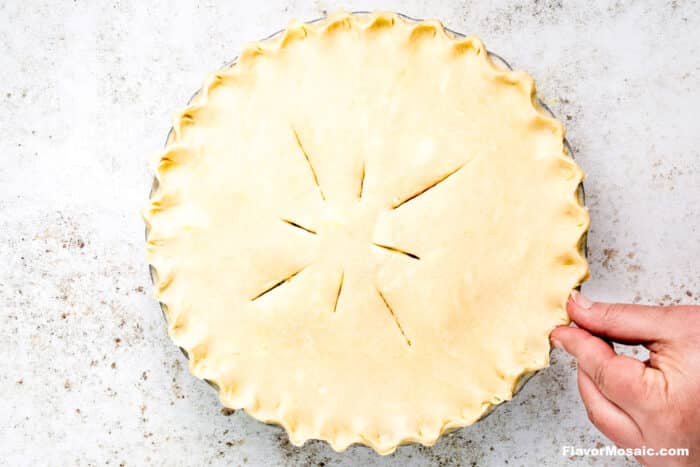 Homemade Pie Crust (From Scratch!) - Flavor Mosaic